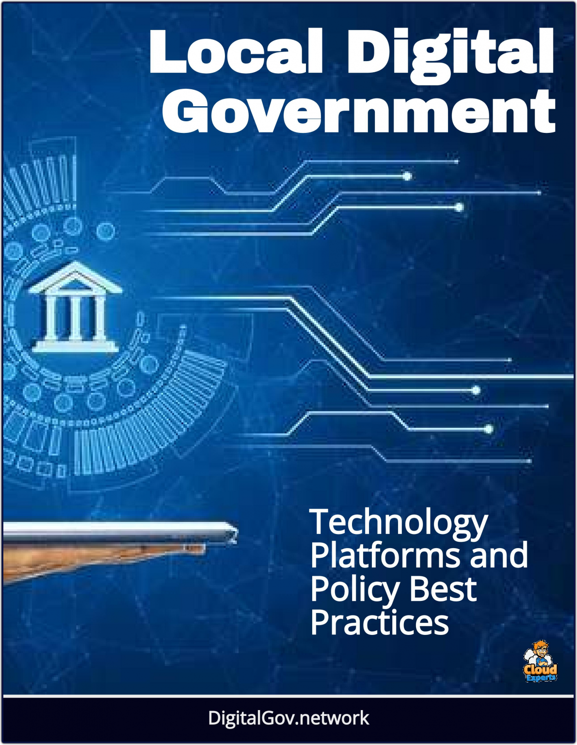 Local Digital Government - Digital Government Network